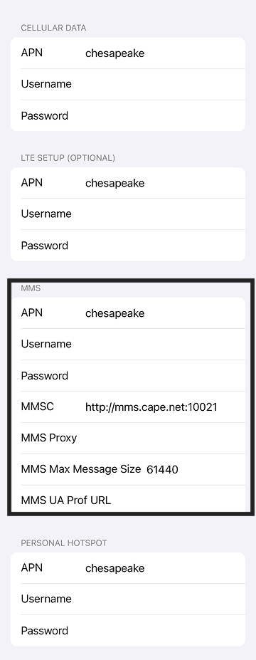 Secure Global Roaming on iPhone – Cape